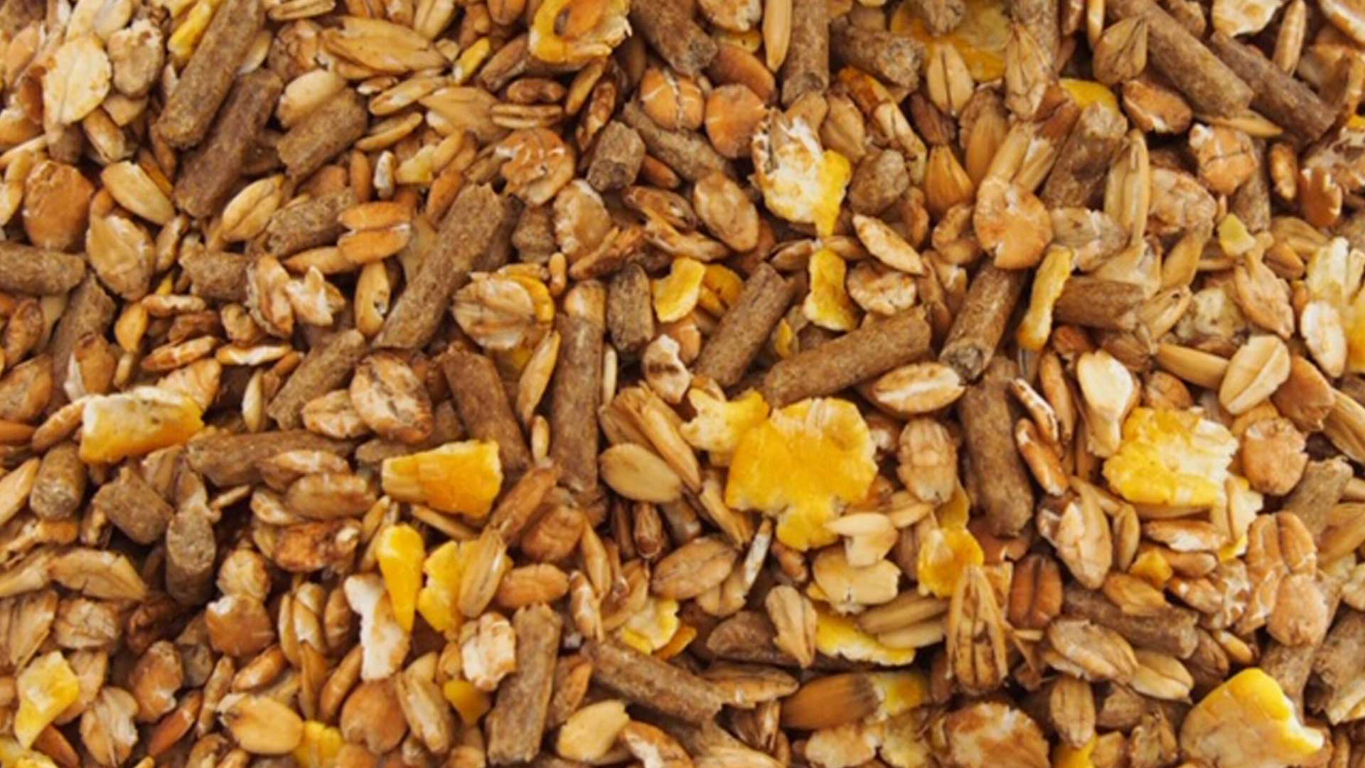 SWISSFRITZ Pferdefutter - Mehr Power für Ihr Pferd!