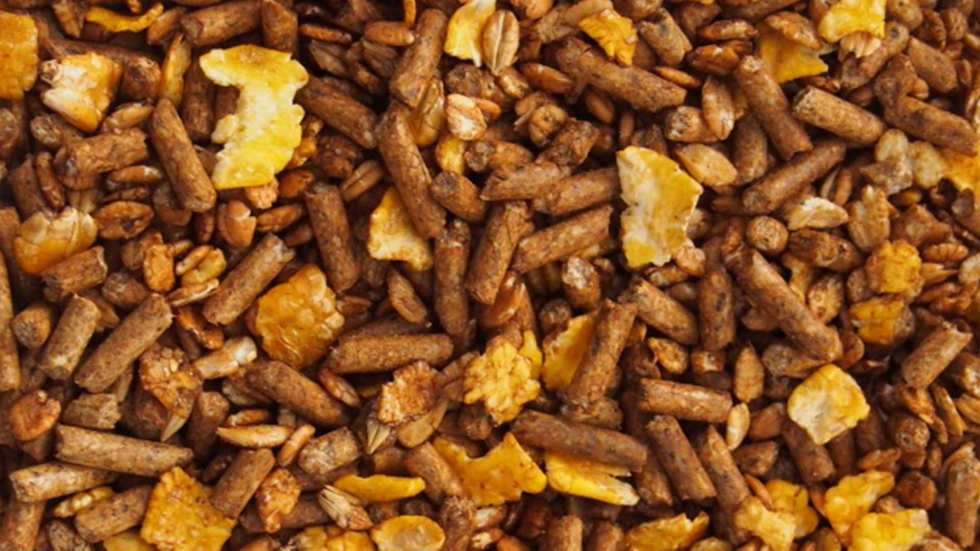 SWISSFRITZ Pferdefutter - Mehr Power für Ihr Pferd!